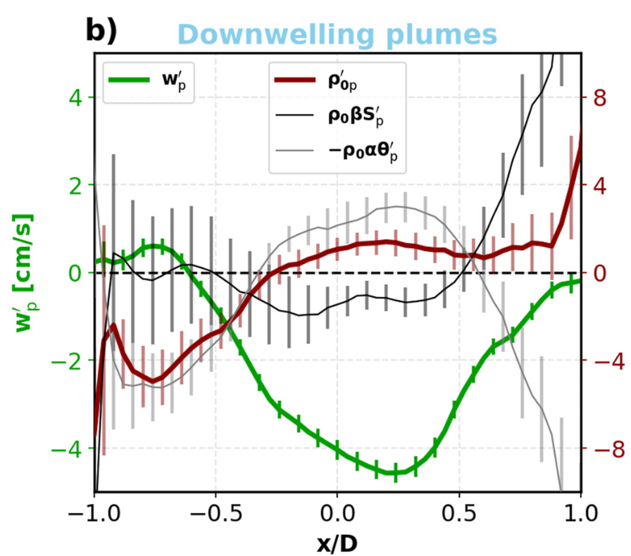 Turbulent Vertical Velocities in Labrador Sea Convection | Experimental ...