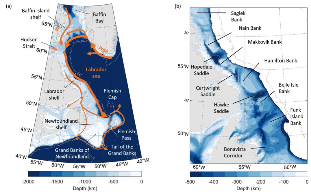 Circulation of Baffin Bay and Hudson Bay waters on the Labrador Shelf ...